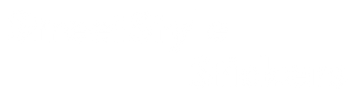 LDV Recovery Truck Stickers Kit | LDV Lettering – StreetStyle Stickers